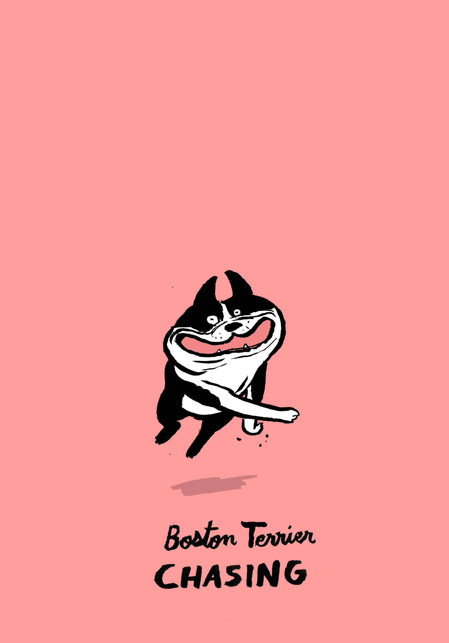 Dodgy Dogs – Jean Jullien Studio