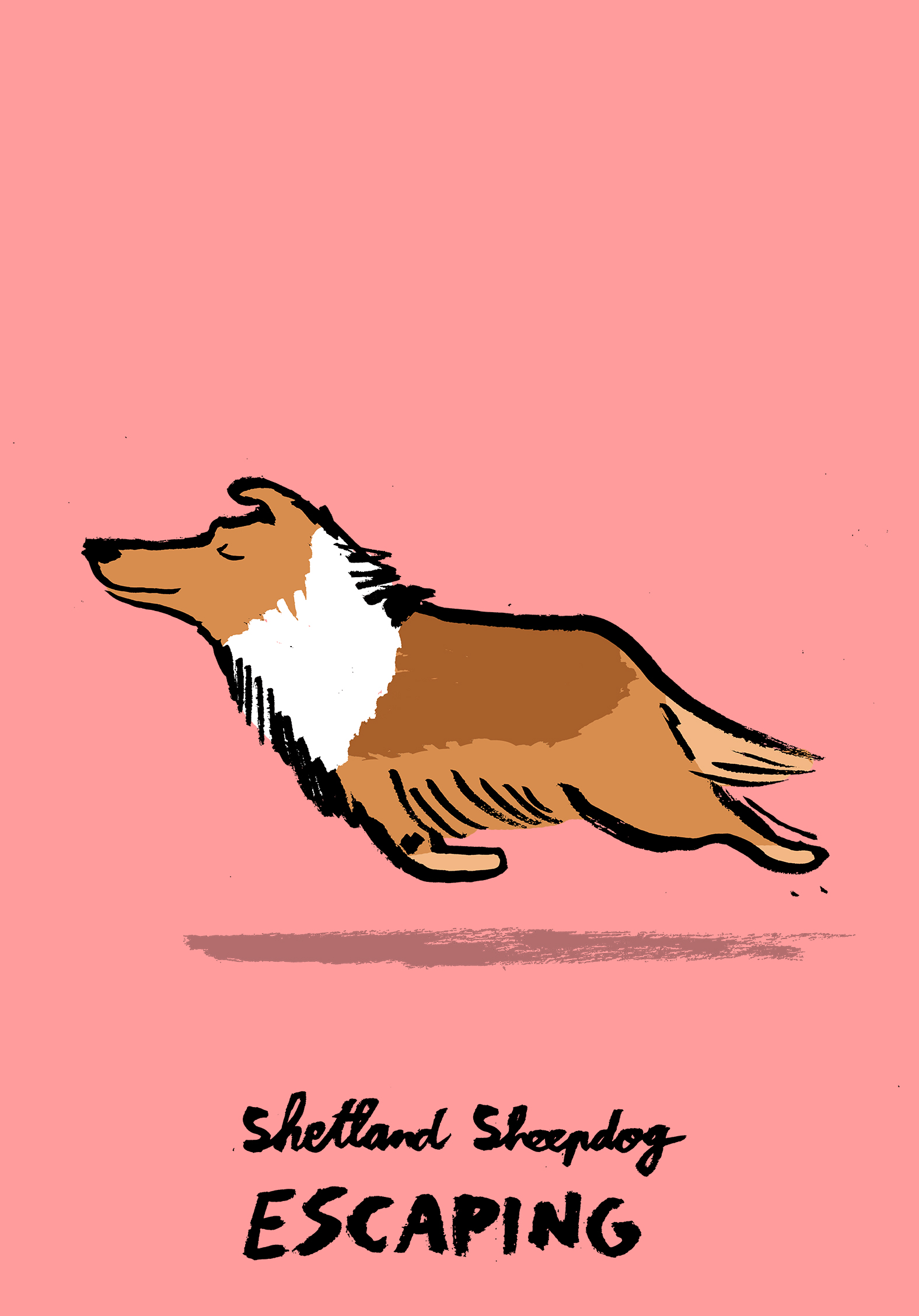 Dodgy Dogs – Jean Jullien Studio