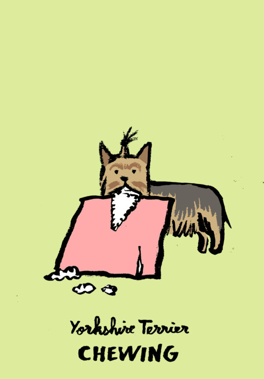 Dodgy Dogs – Jean Jullien Studio